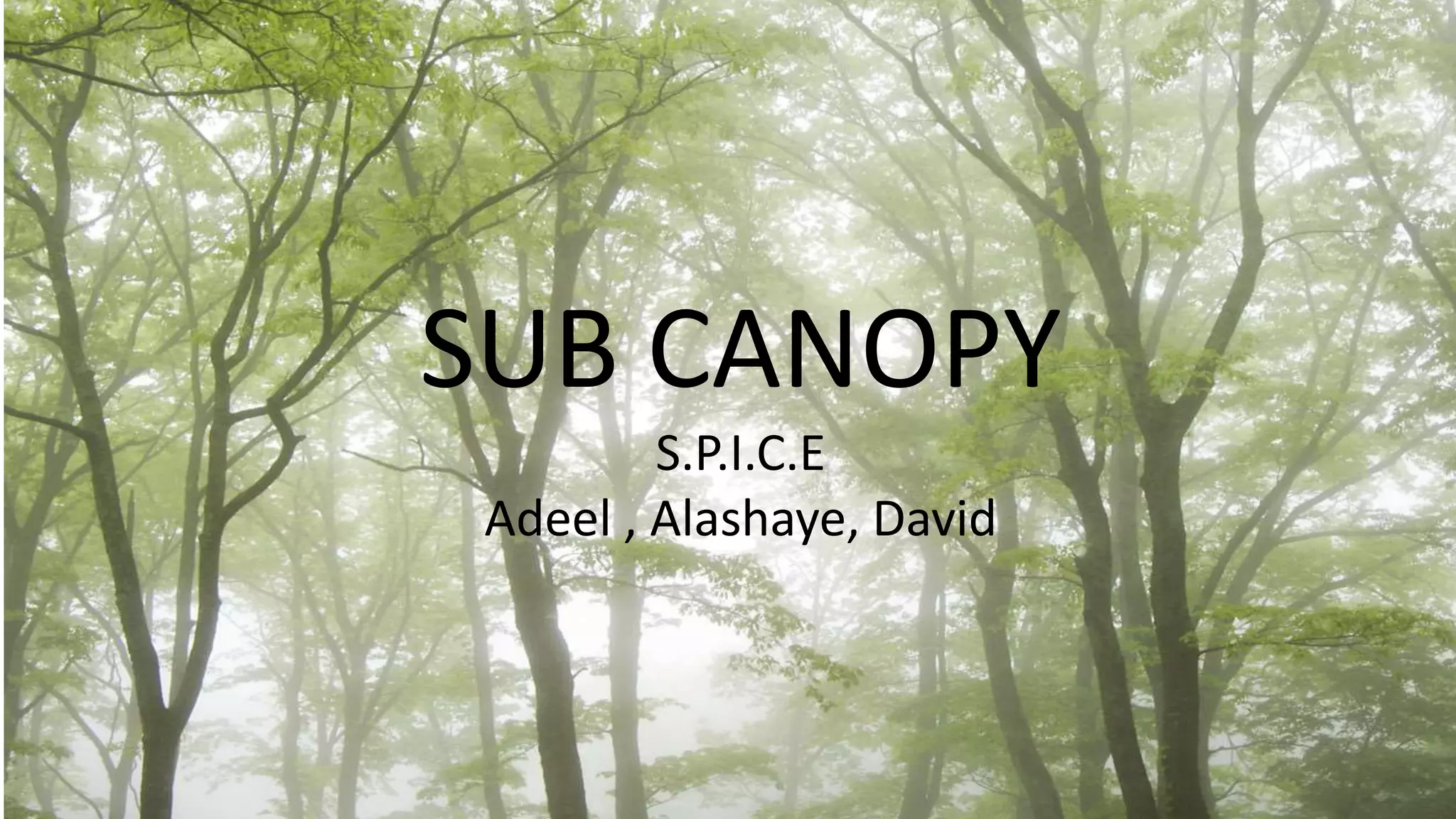 Sub canopy adeel, alashaye and david | PPT