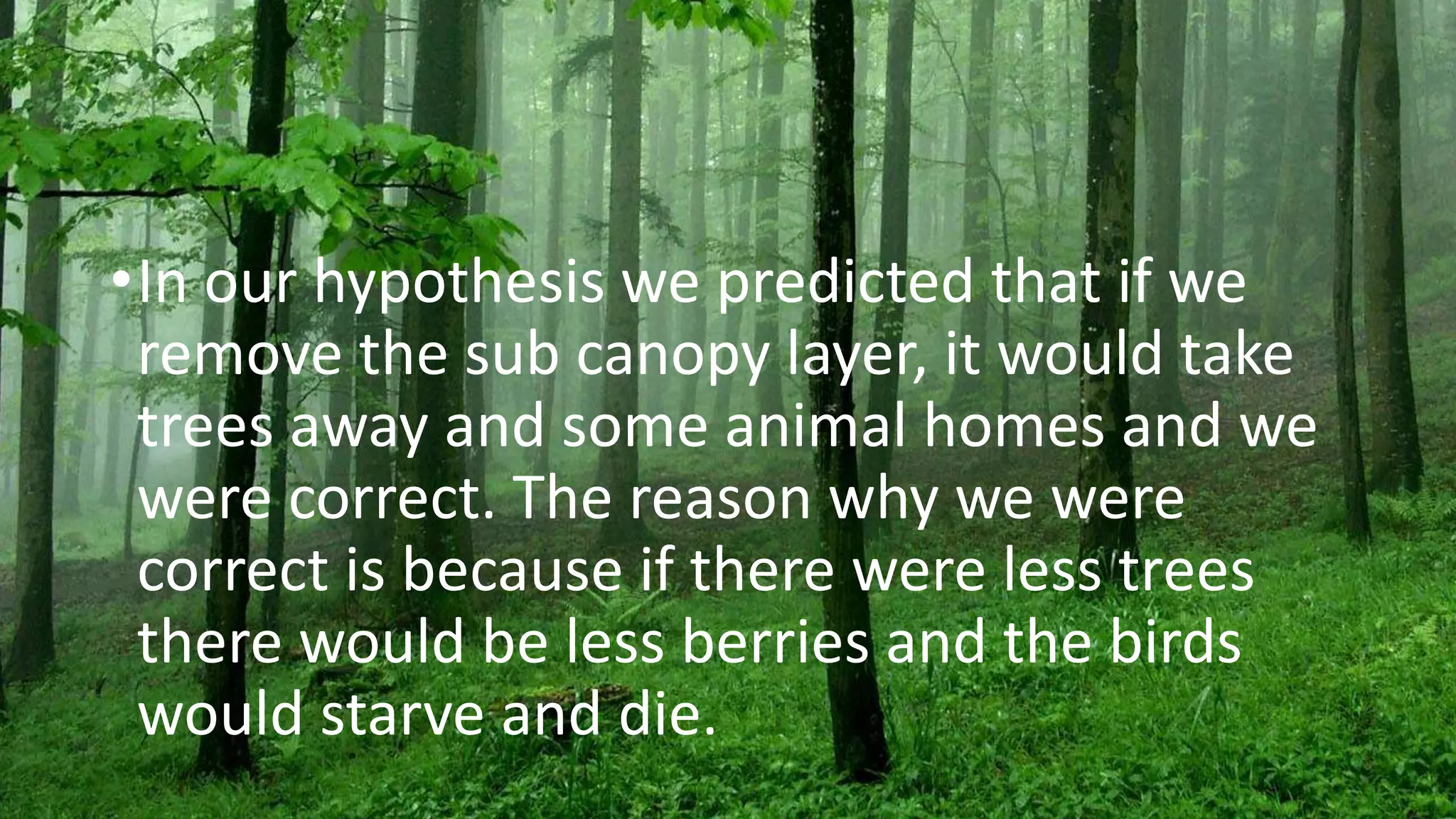 Sub canopy adeel, alashaye and david | PPT