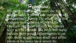 Sub canopy adeel, alashaye and david | PPT