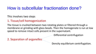 Subcellular fractionation | PPT