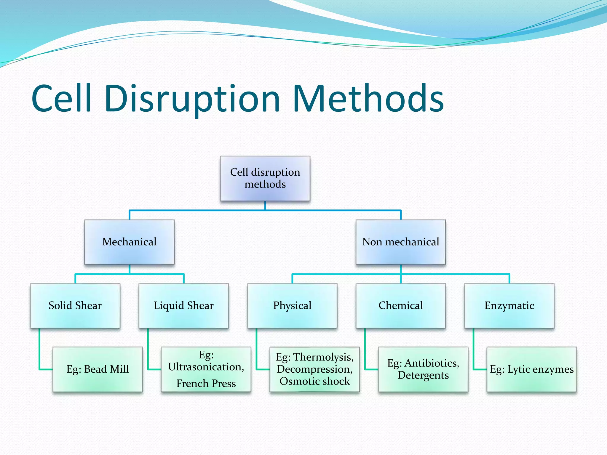 Subcellular fractionation and marker proteins | PPTX