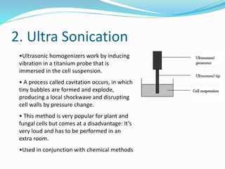 Subcellular fractionation and marker proteins | PPTX