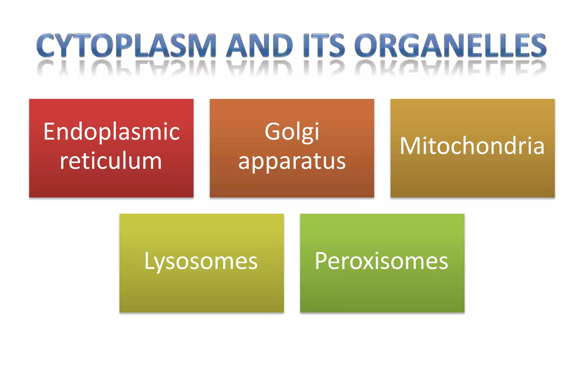 sub cellular organelles of cell.pptx | Biological Sciences | Science