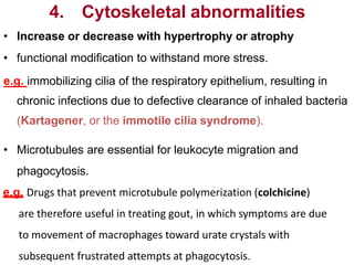Subcellular Response to cell injury12.ppt