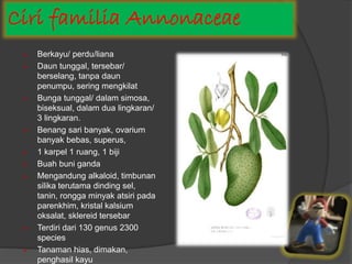 Subclass dialypetalae | PPT