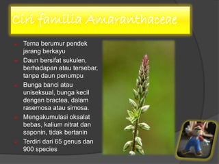 Subclass dialypetalae | PPT