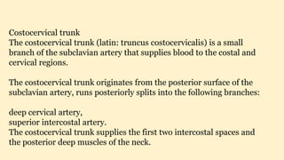 Subclavian artery and it's branches | PPTX