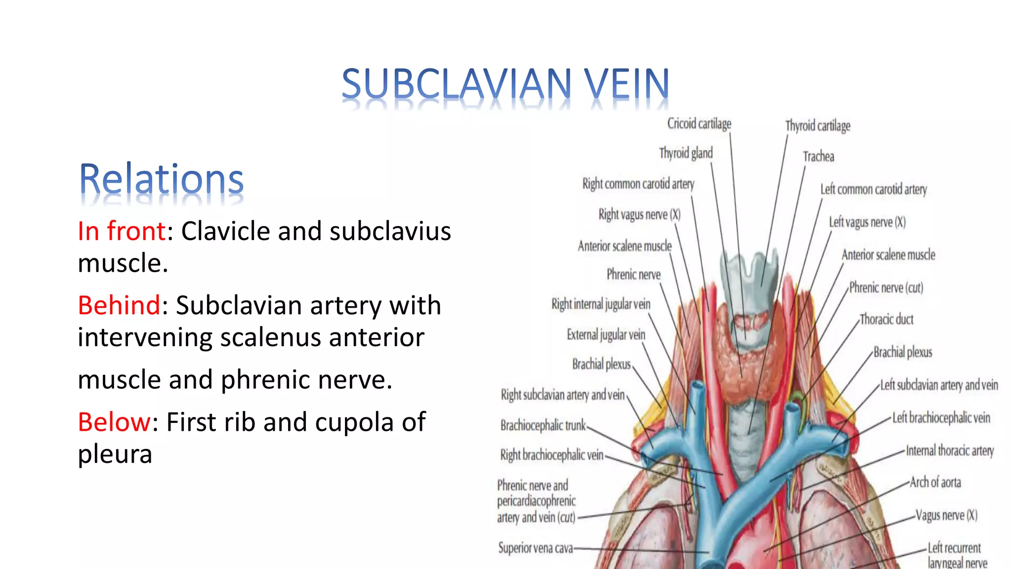 subclavian vein.pptx
