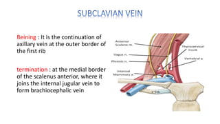 subclavian vein.pptx