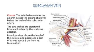 subclavian vein.pptx