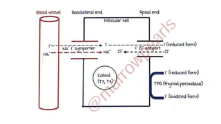 SUBCLINICAL HYPOTHYROIDISM | PPTX
