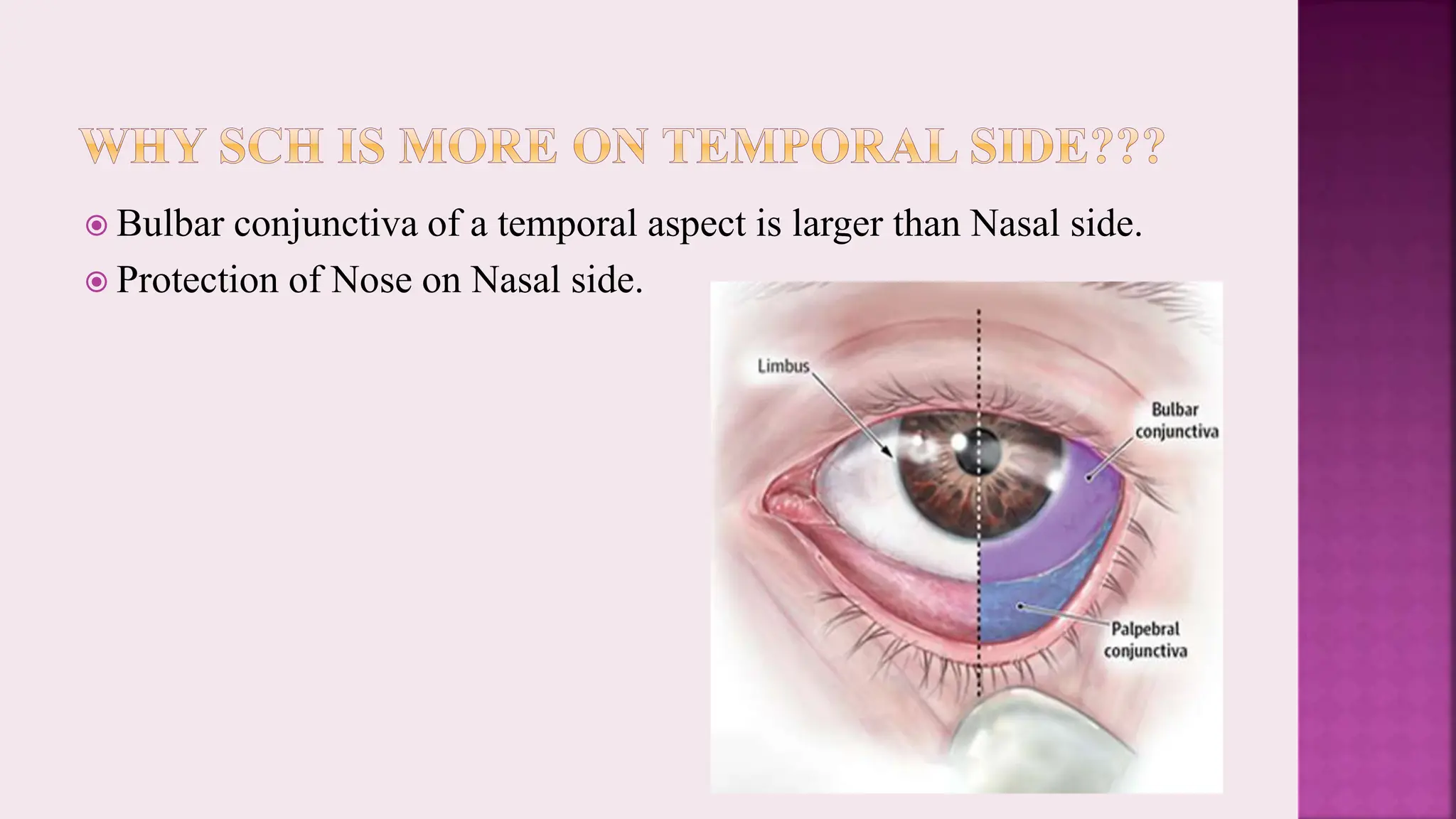 Eyelid Hemorrhage Causes | Subconjunctival Hemorrhage Eye – KTPLZW