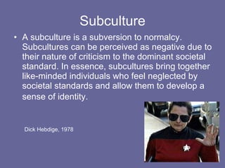 Subcultures | PPT