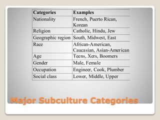 Subcultures | PPTX