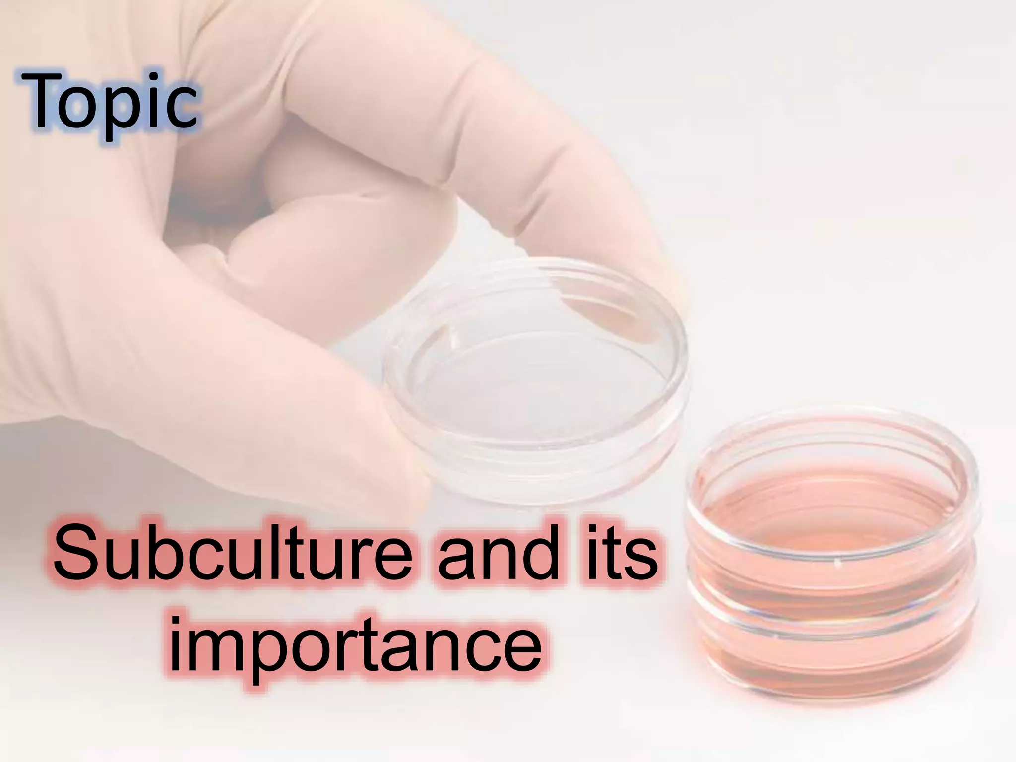Subculturing | PPTX | Biotech and Biomedical Industry | Industries