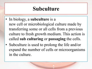 Subculturing | PPTX | Biotech and Biomedical Industry | Industries