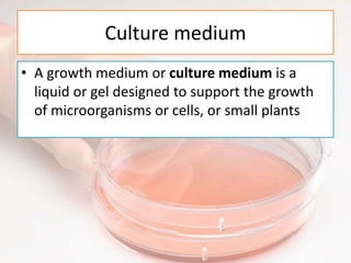 Subculturing | PPTX | Biotech and Biomedical Industry | Industries