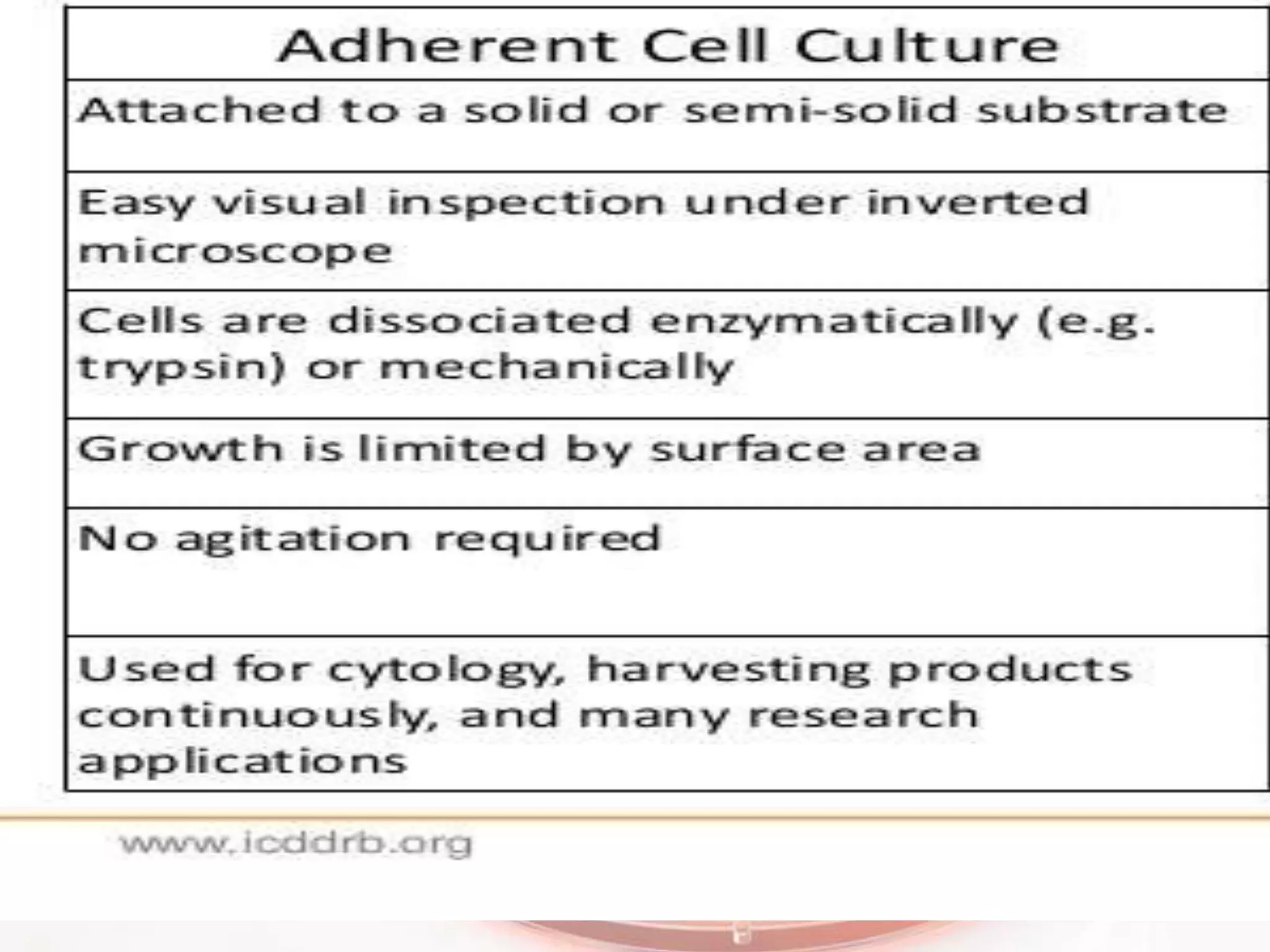 Subculturing | PPTX