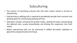 Subculturing | PPTX