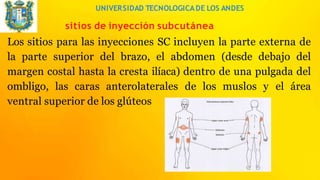 SUBCUTANEA.pptx