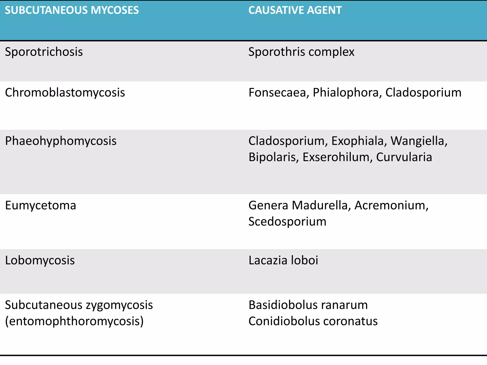 SUBCUTANEOUS AND FUNGAL INFECTIONS | PPTX