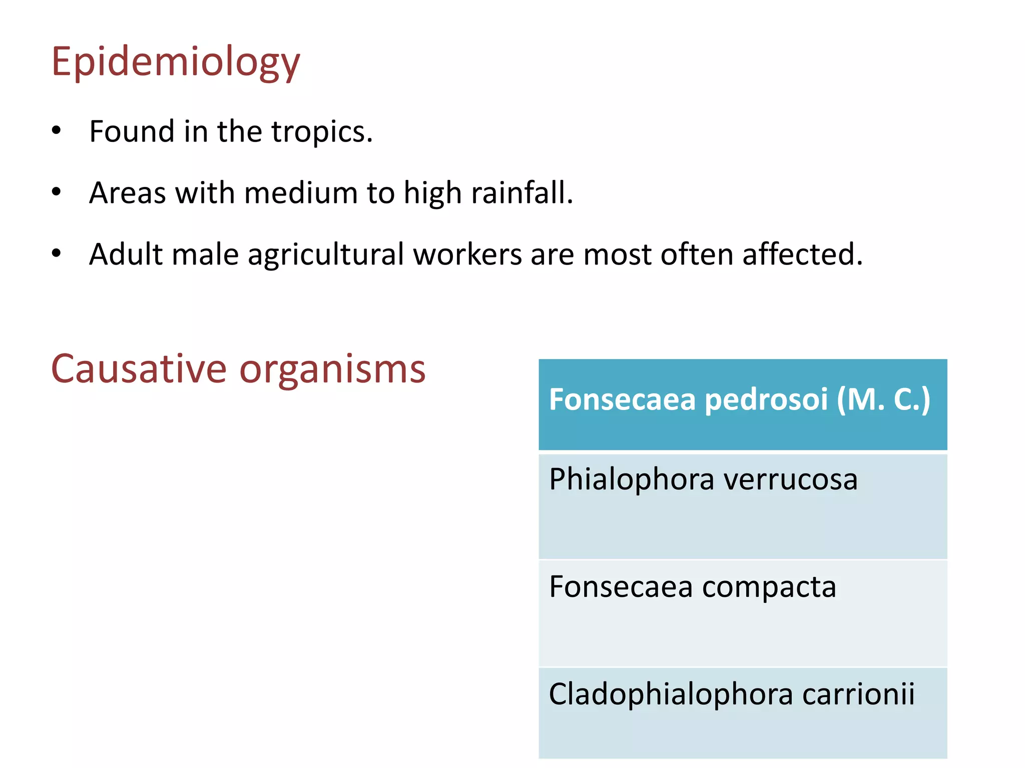 SUBCUTANEOUS AND FUNGAL INFECTIONS | PPTX