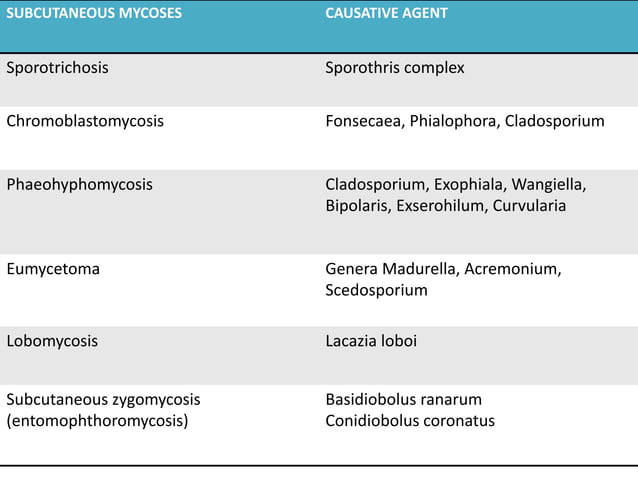 SUBCUTANEOUS AND FUNGAL INFECTIONS | PPTX | Skin and Dermatology ...