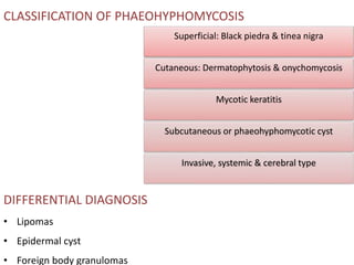 SUBCUTANEOUS AND FUNGAL INFECTIONS | PPTX