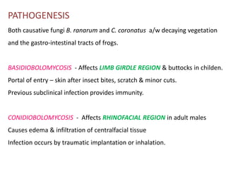 SUBCUTANEOUS AND FUNGAL INFECTIONS | PPTX