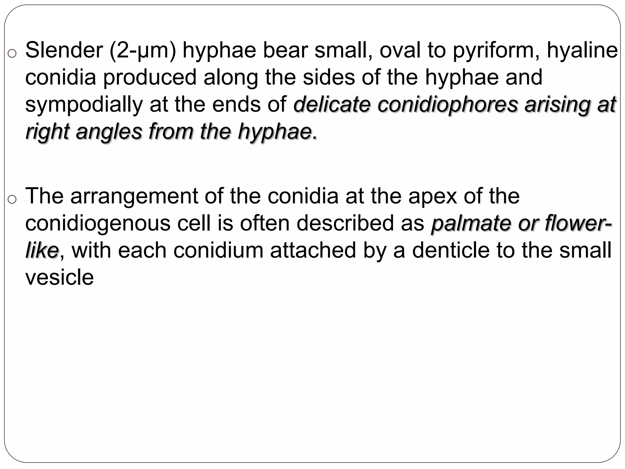 Subcutaneous mycoses | PPTX