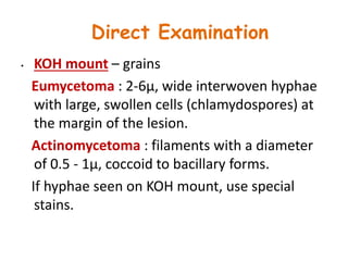 Subcutaneous mycoses.ppt