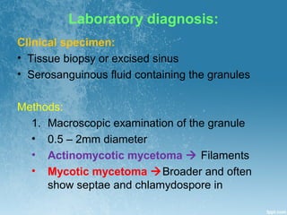 Subcutaneous mycoses by Dr. Rakesh Prasad Sah | PPT