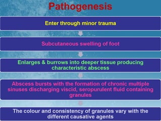 Subcutaneous mycoses by Dr. Rakesh Prasad Sah | PPT