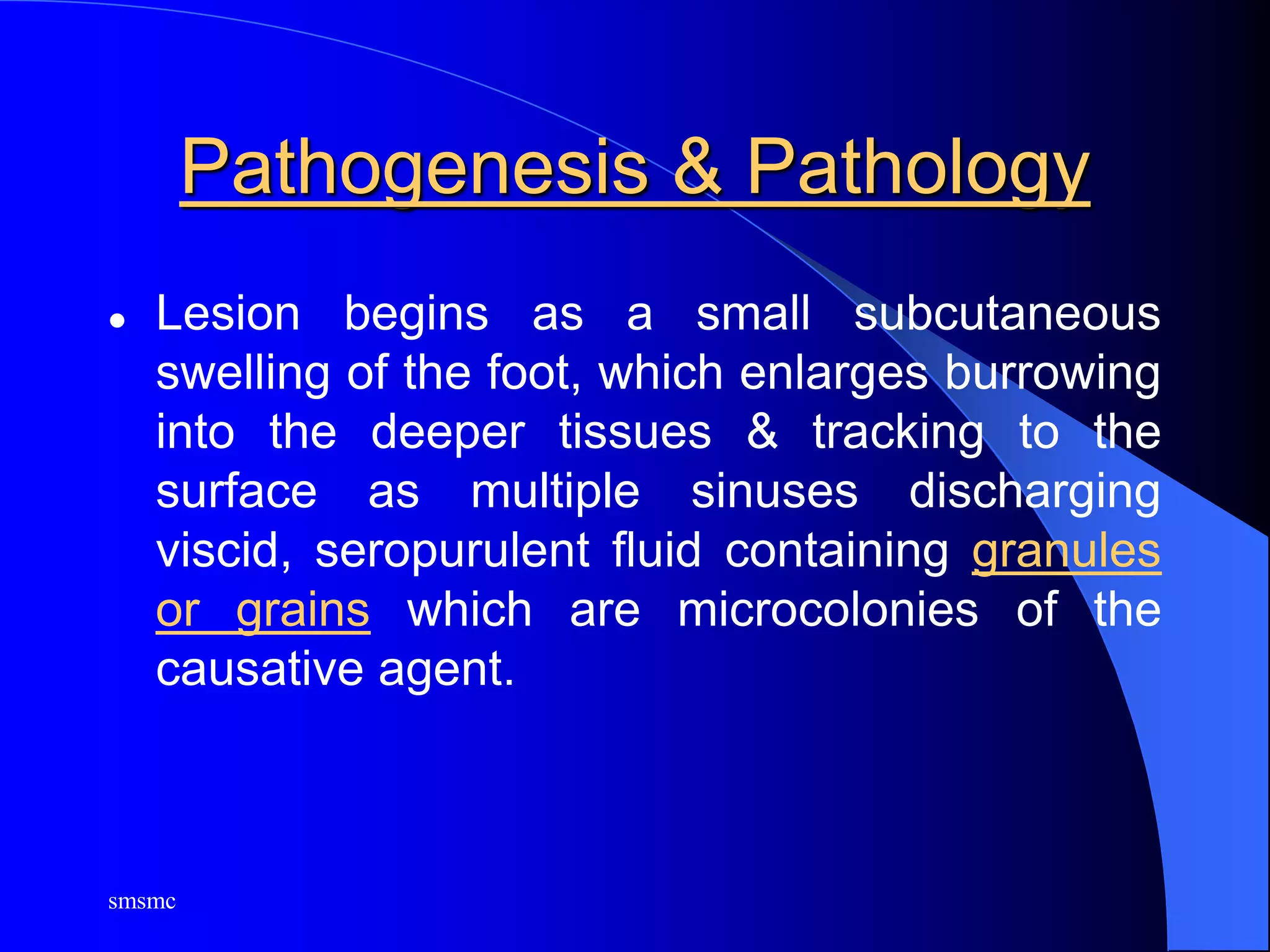 Subcutaneous mycoses | PPT