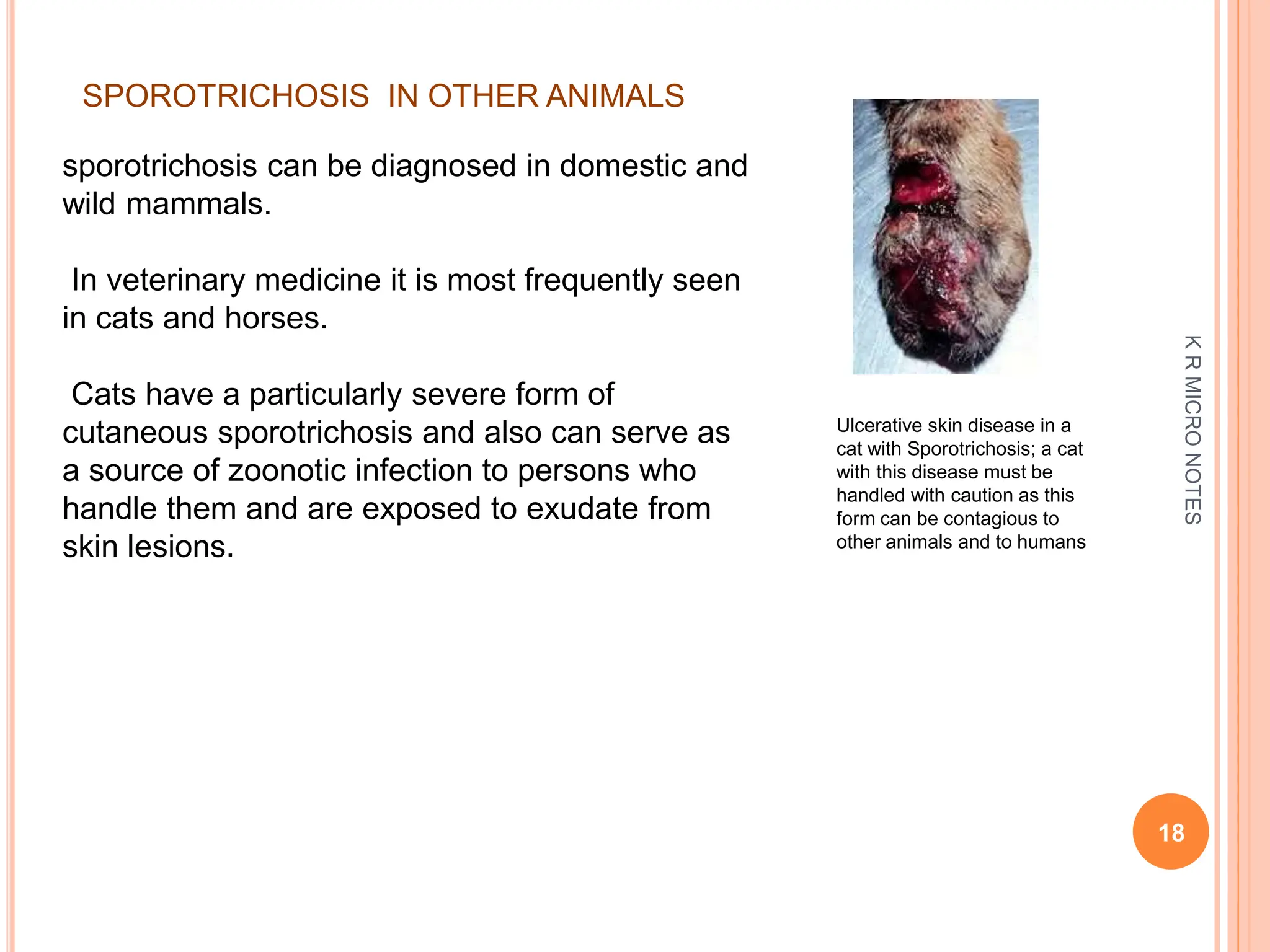 Subcutaneous mycoses K R.pptx
