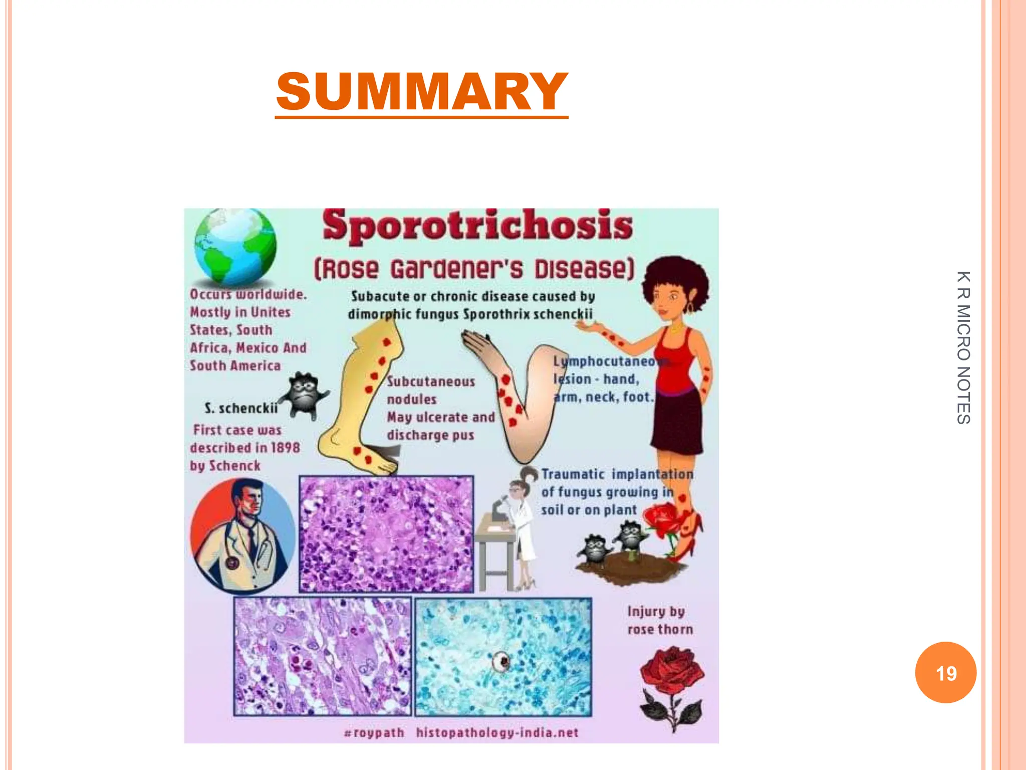 Subcutaneous mycoses K R.pptx