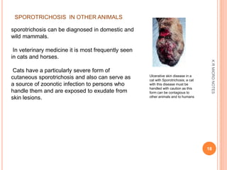 Subcutaneous mycoses K R.pptx