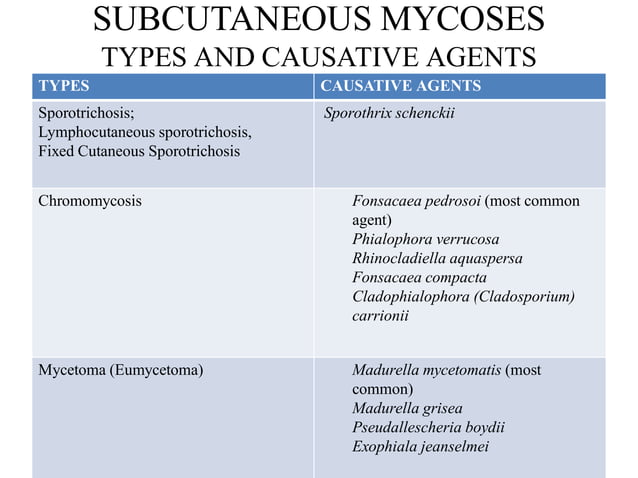 SUBCUTANEOUS MYCOSES(fungi) presentation.pdf