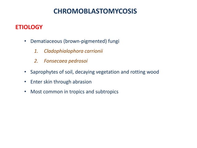 Subcutaneous Mycosis | PPTX | Skin and Dermatology | Diseases and ...