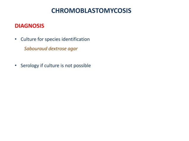 Subcutaneous Mycosis | PPTX | Skin and Dermatology | Diseases and ...