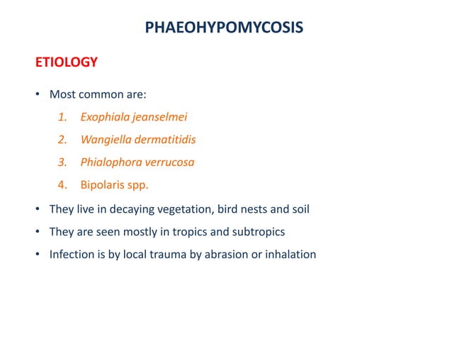 Subcutaneous Mycosis | PPTX | Skin and Dermatology | Diseases and ...