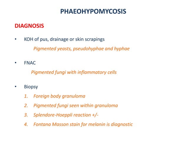 Subcutaneous Mycosis | PPTX | Skin and Dermatology | Diseases and ...