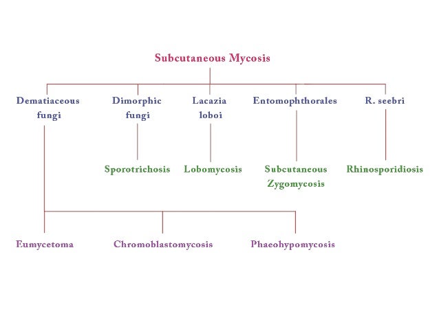 Subcutaneous Mycosis
