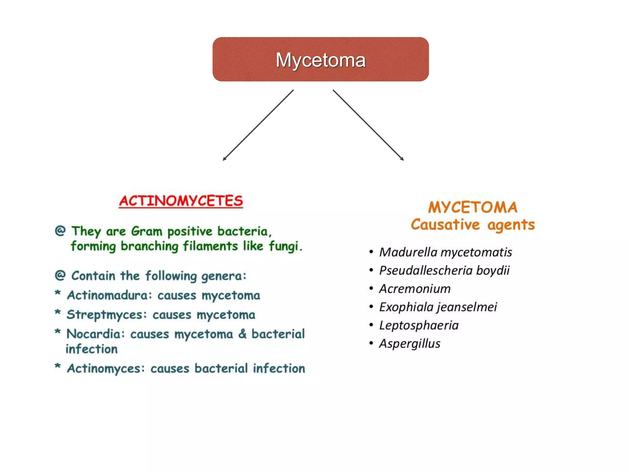 Subcutaneous mycosis | PPTX
