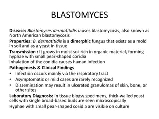 Subcutaneous,Systemic, Oppurtunistic mycosis | PPT