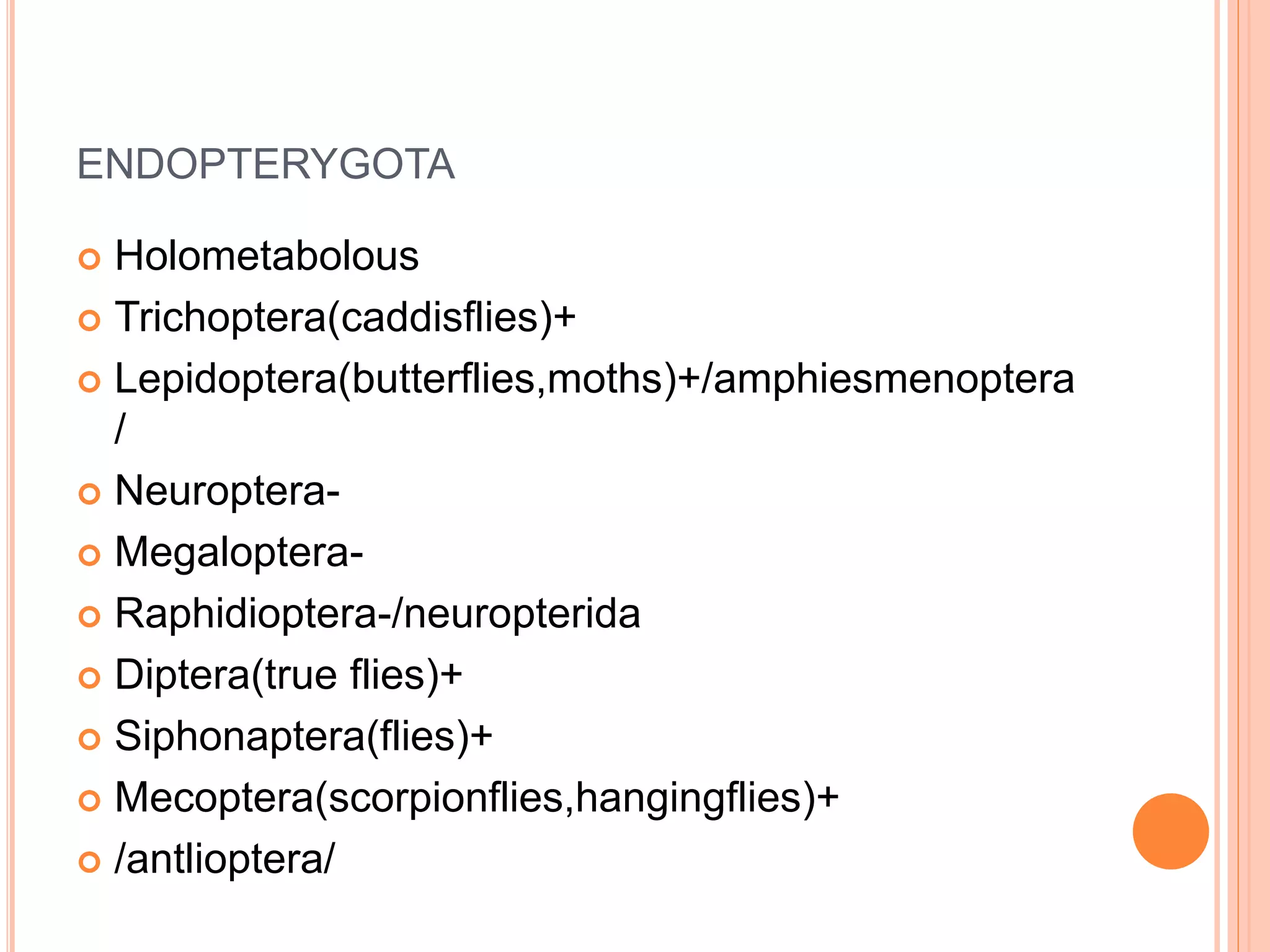 Subdivision endopterygota | PPTX