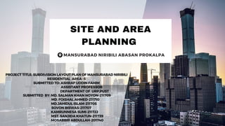 Subdivision presentation.pdf