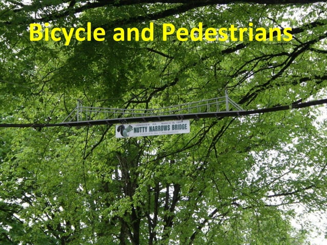 Subdivisions and public health | PPT