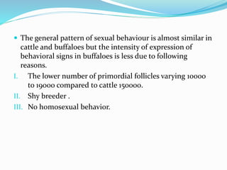 Sub estrus in cattles and buffaloes | PPTX