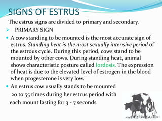Sub estrus in cattles and buffaloes | PPTX